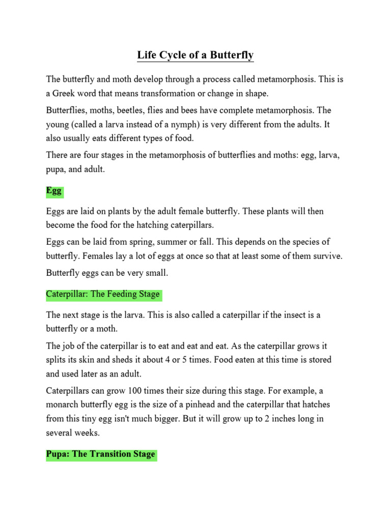 Butterfly Life Cycle Stages Explained | PDF | Pupa | Butterfly