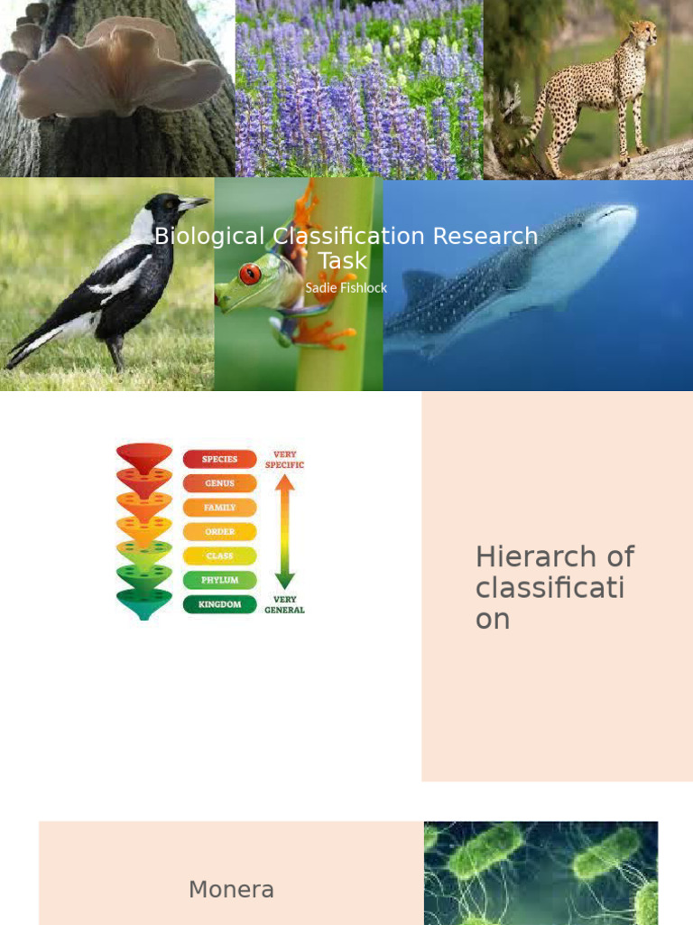 Biological Classification Research Task | PDF | Turtle | Salmonella