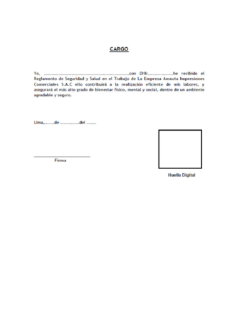 Cargo de Entrega de RISST Amauta | PDF