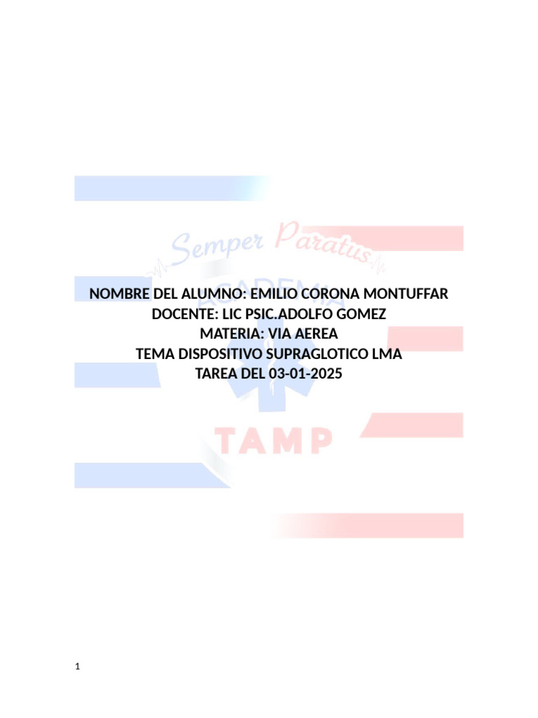 Via Aerea 03012025 | PDF