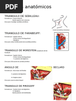 Celda Parotídea y Glandula Parotida RESUMEN | PDF ...