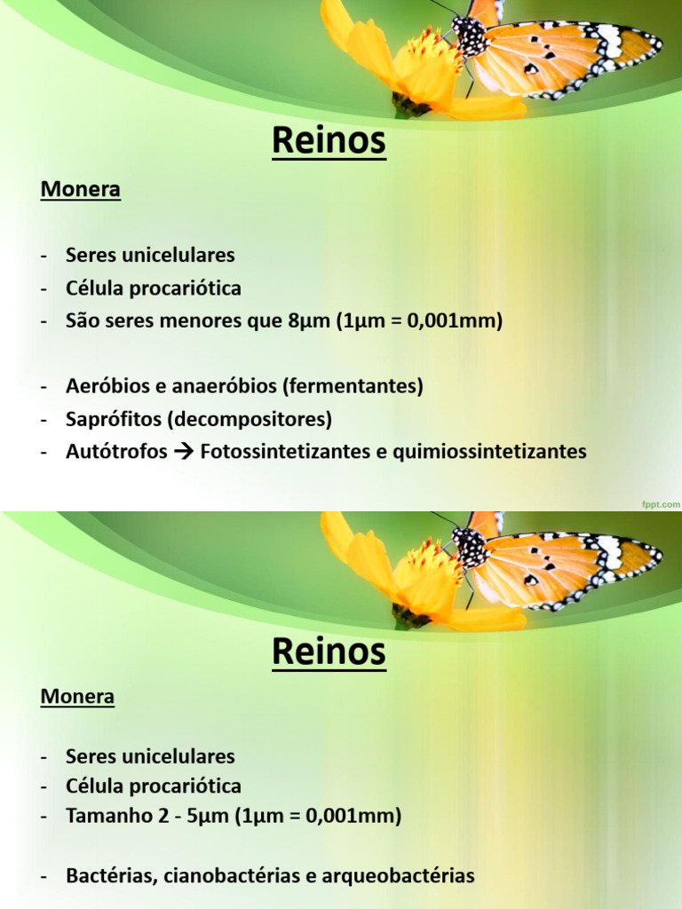 Características e Importância do Reino Monera | PDF