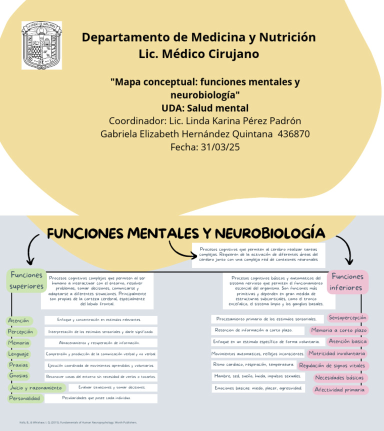 Funciones Mentales - Gabriela Hernández | PDF | Cerebro | Memoria