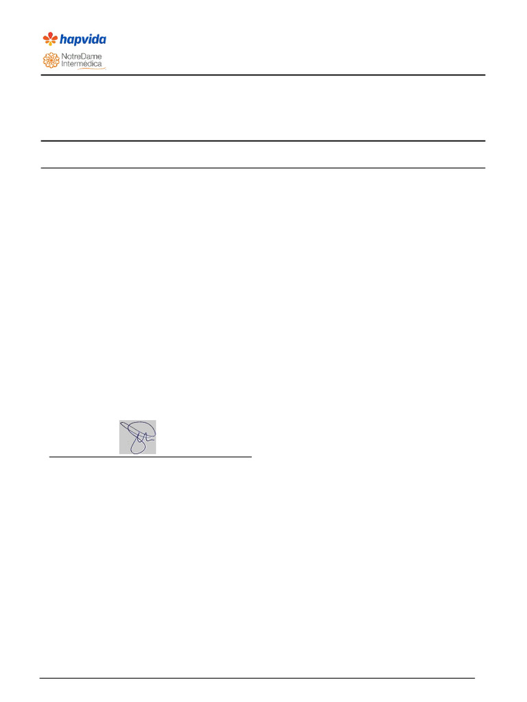 Laudo 40101010 | PDF