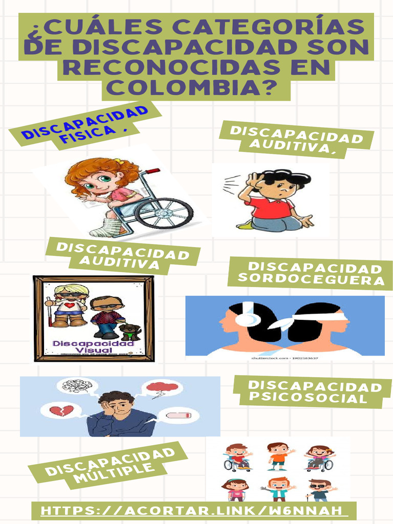 Tipos de Diversidad Funcional | PDF