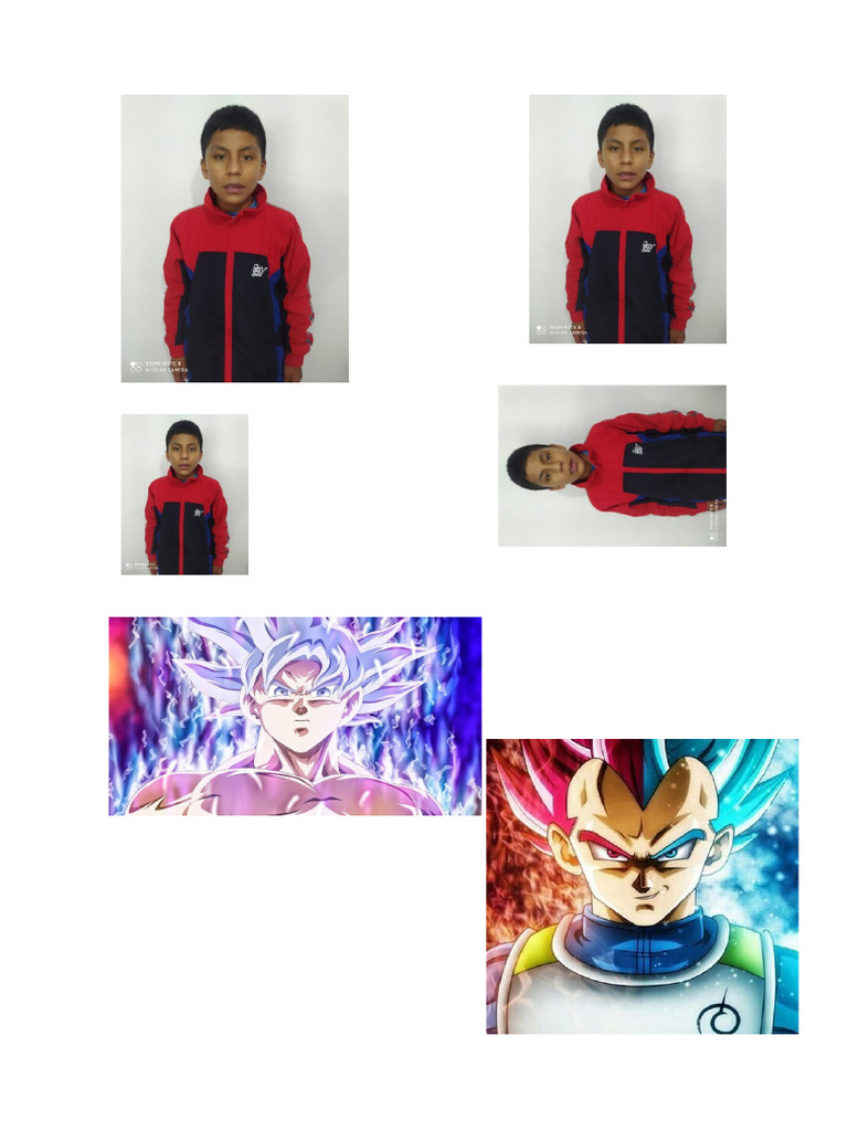 Foto para El Arbol | PDF