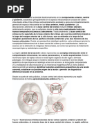 Anatomía del Seno Cavernoso | PDF | Anatomía humana | Cabeza y cuello ...