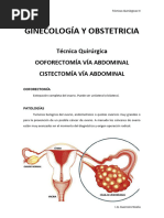 Tipos de Incisiones en Cesárea | PDF | Parto | El embarazo