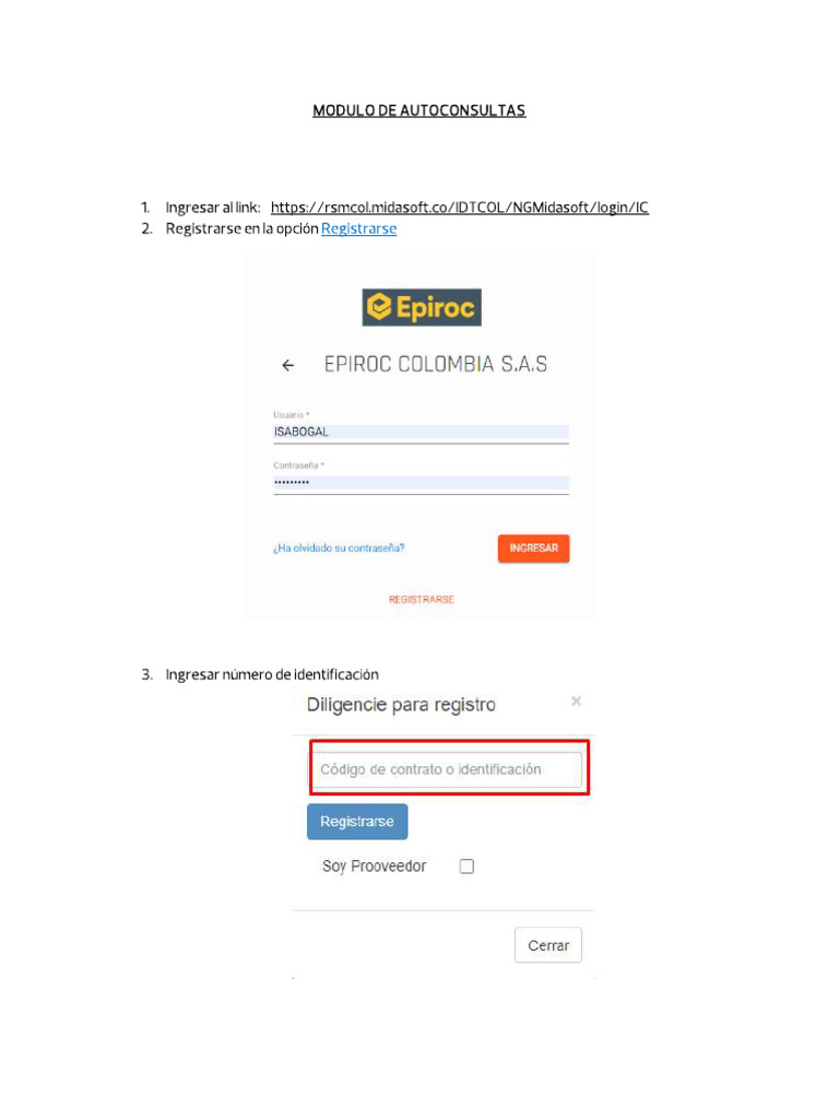 Instructivo Modulo de Autoconsultas | PDF