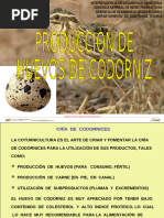 Plan de Alimentación para Codornices | PDF | Magnesio | Nutrición