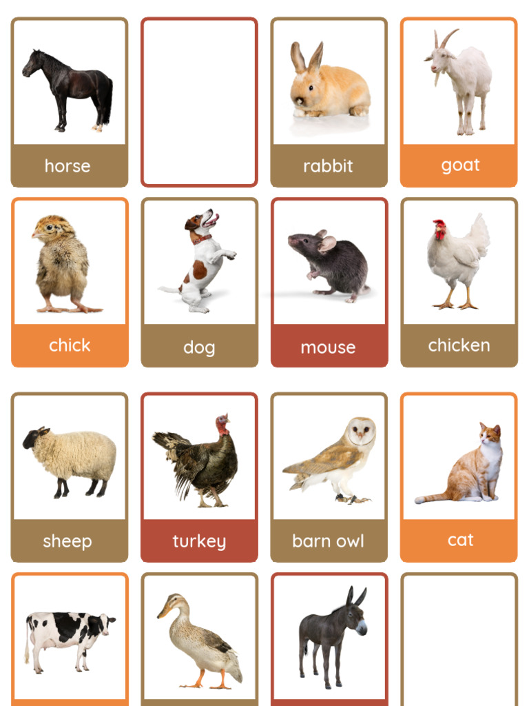 Farm Animals Flashcards | PDF