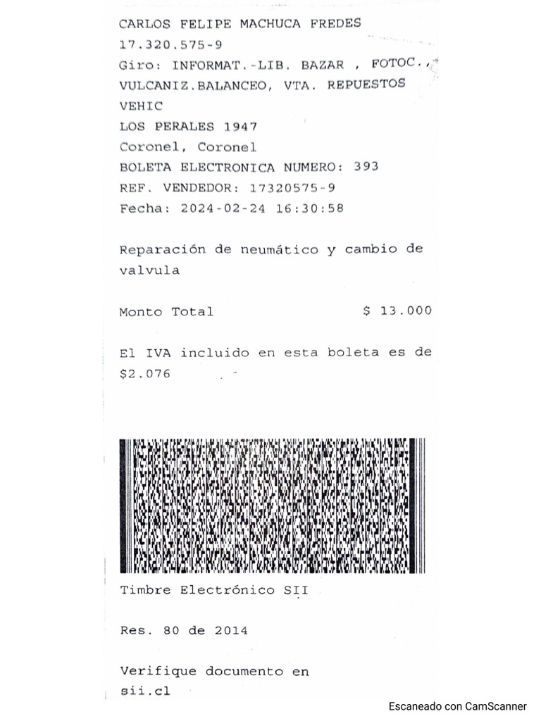 Boleta Nro. 374 | PDF