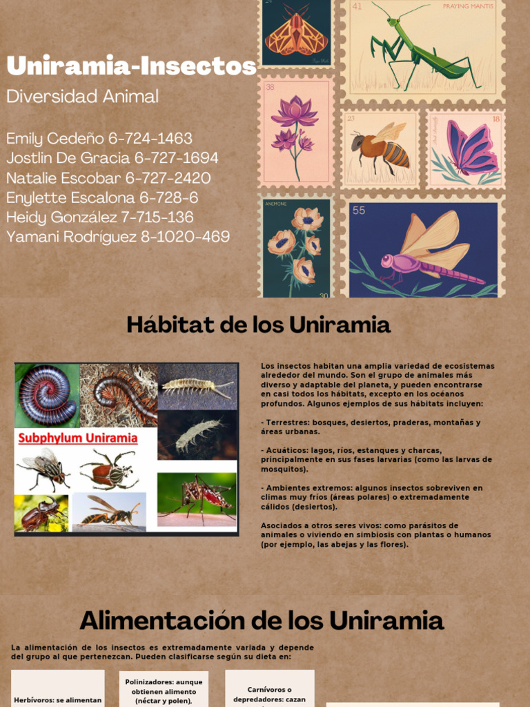 Uniramia | PDF | Insectos | Mosca