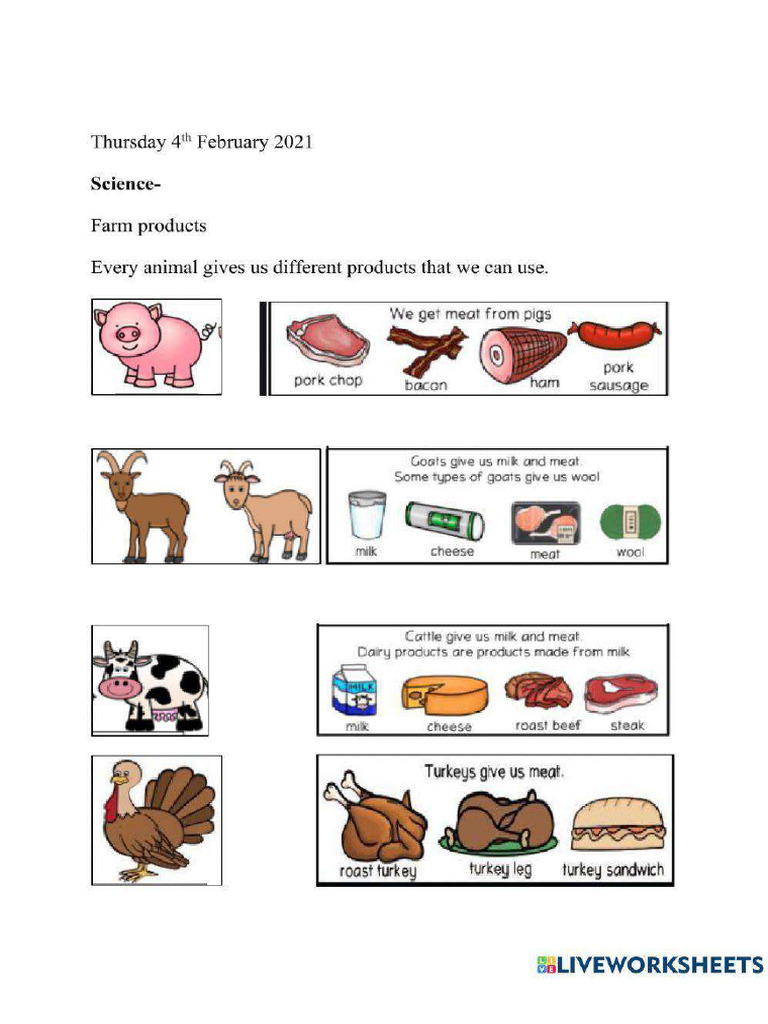 What Do Animals Give Us | PDF