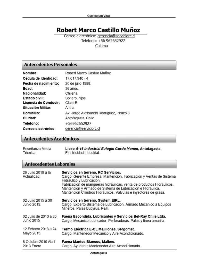 CV Robert Castillo | PDF