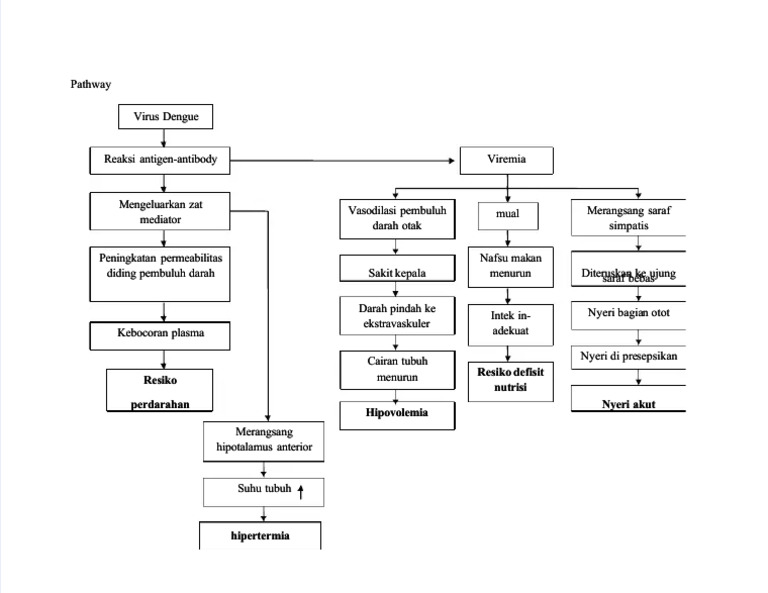 PDF Pathway DHF Compress | PDF