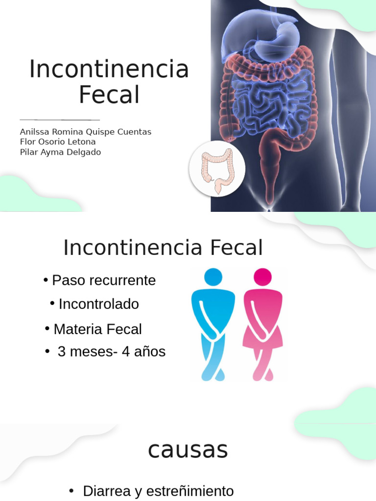 Incontinencia Fecal: Anilssa Romina Quispe Cuentas Flor Osorio Letona ...