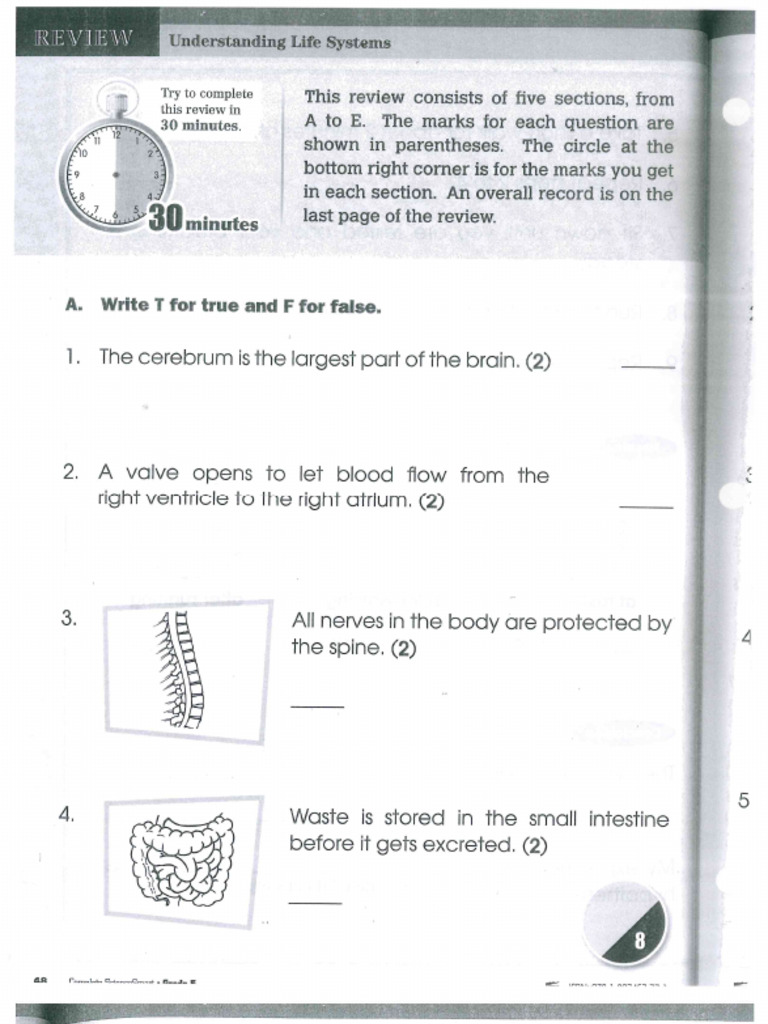 Gr. 5 Understanding LIfe Systems Unit - 10 Review | PDF