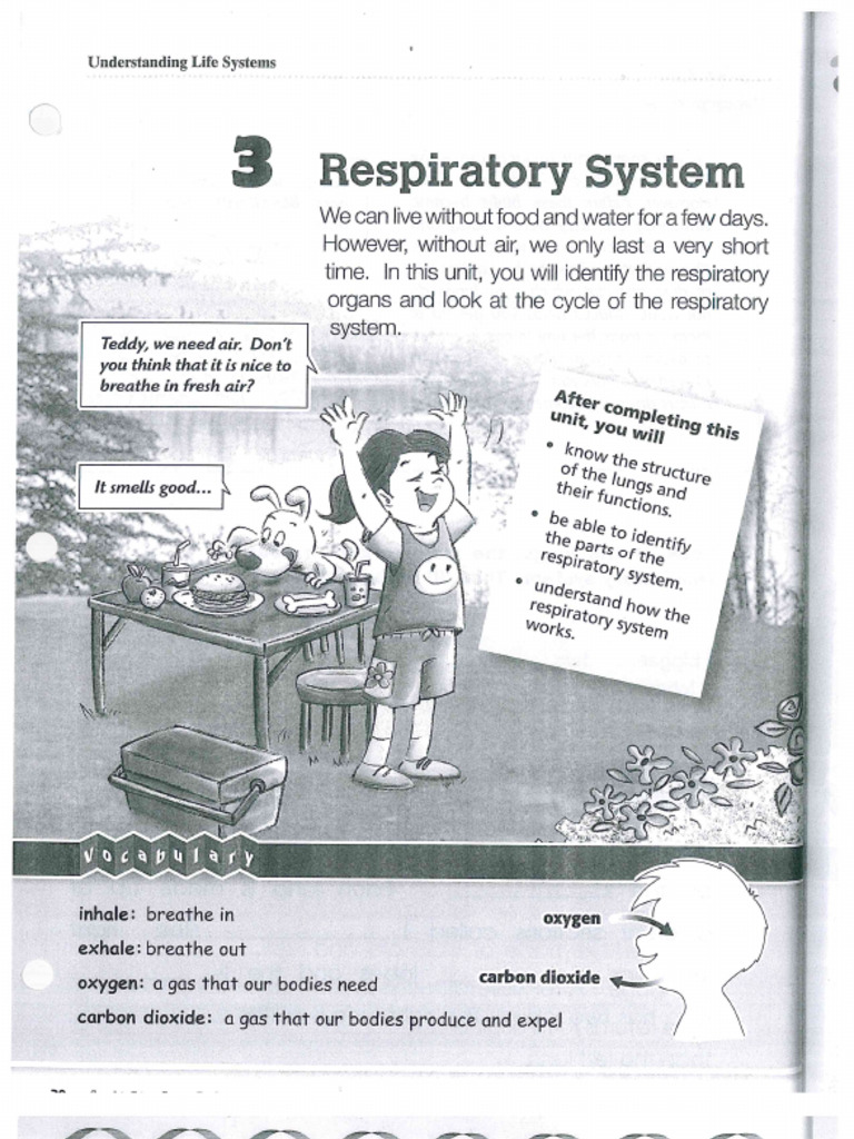 Gr. 5 Understanding LIfe Systems Unit - 03 Respiratory System | PDF