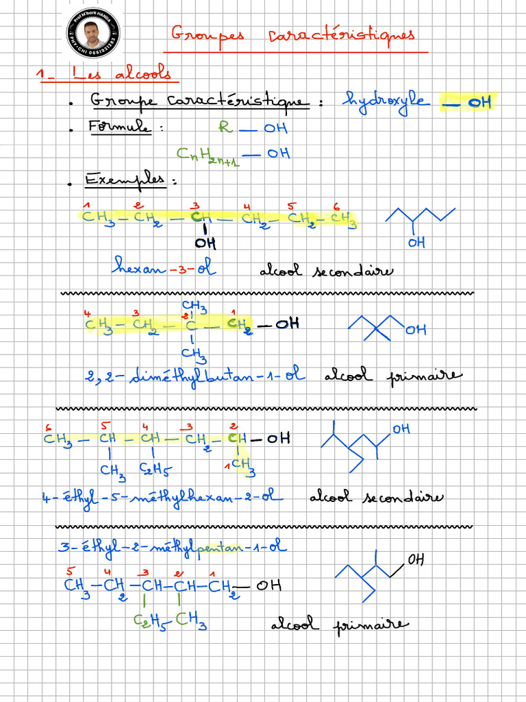 Organique HANDA 2 | PDF