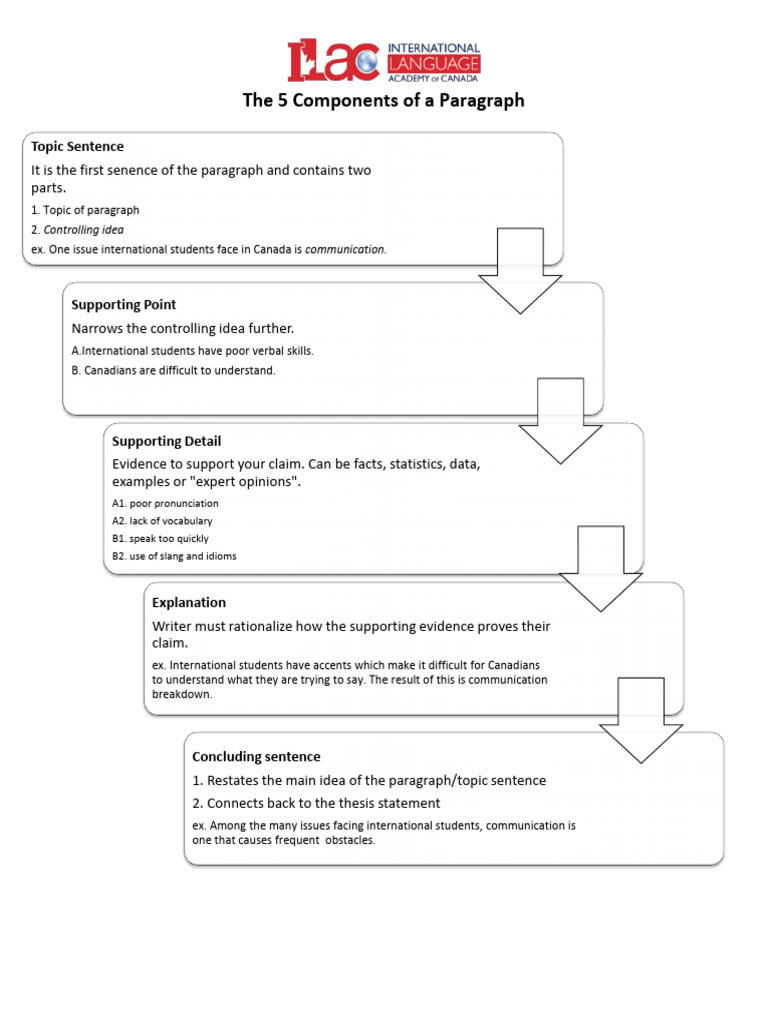 The 5 Components of A Paragraph | PDF