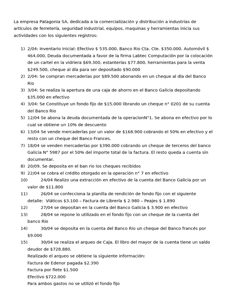 La Empresa Patagonia SA | PDF