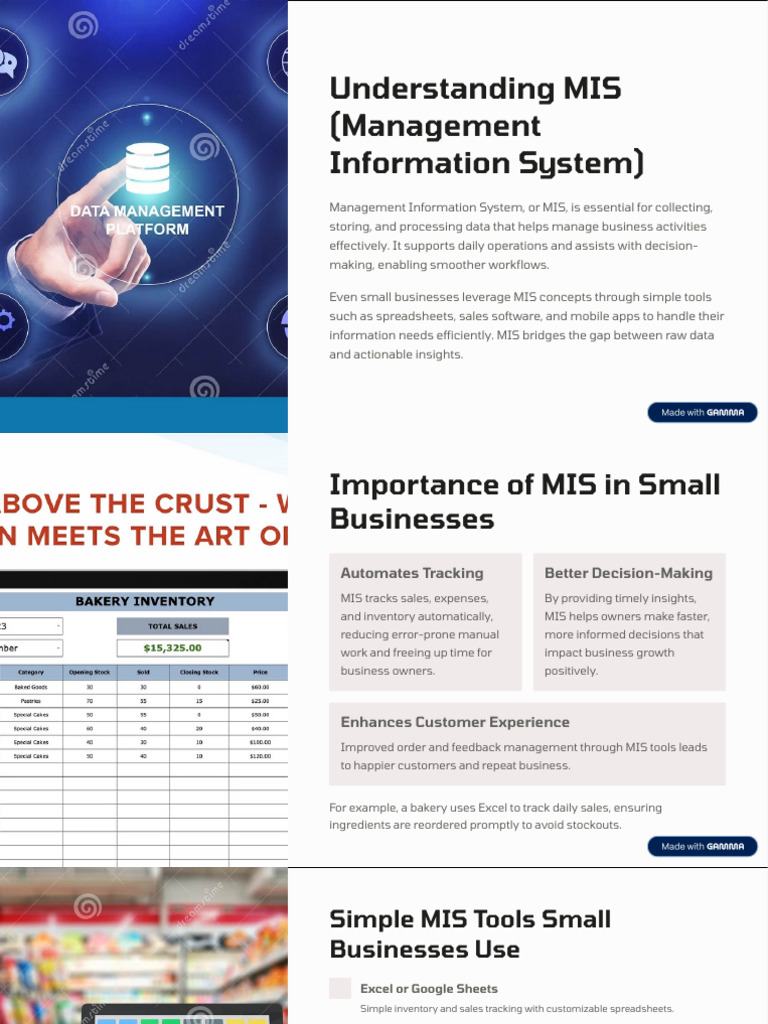 Understanding MIS Management Information System | PDF