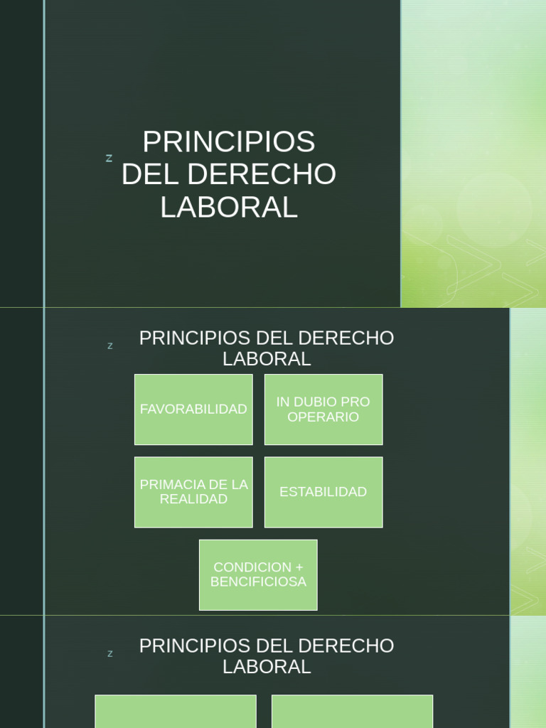 Principios Del Derecho Laboral | PDF