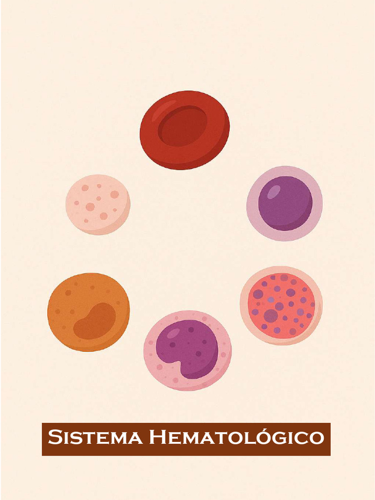 Sistema Hematológico - José Fadel Neto | PDF | Hematopoiese | Potência celular