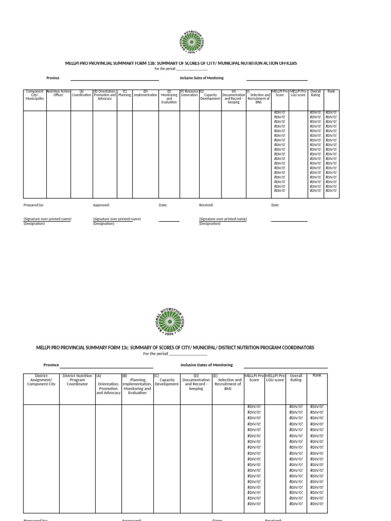 2024 MELLPI Pro Provincial Summary Sheet For LNFPs | PDF