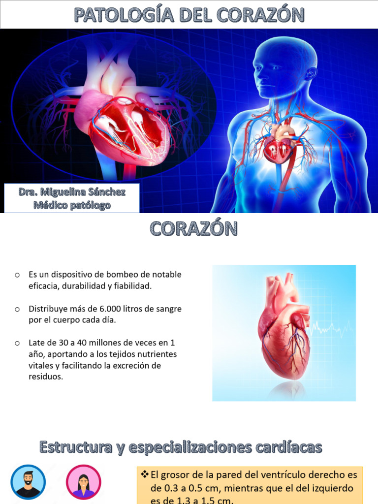 Tema 4 Patología Del Corazón | PDF | Corazón | Defecto cardiaco congenito
