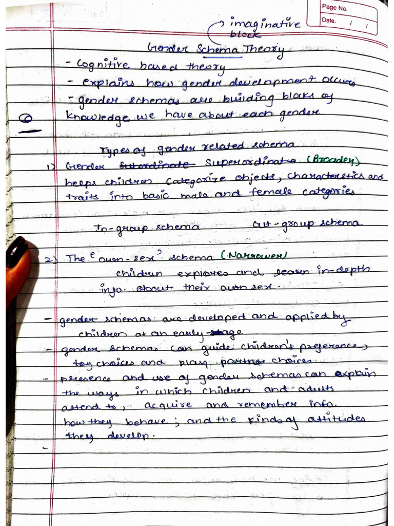 Gender Schema Theory | PDF