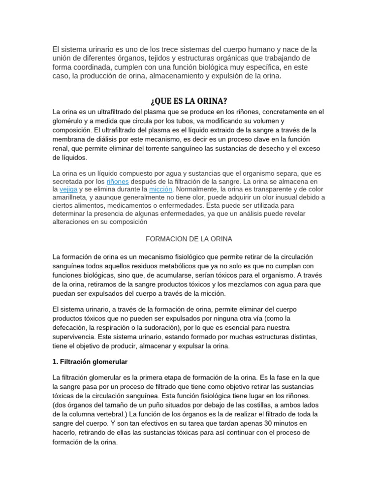 ¿Que Es La Orinas y Como Se Forma? | PDF | Riñón | Orina