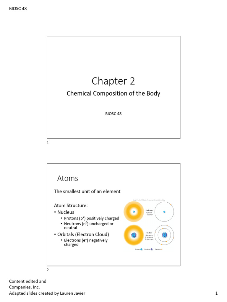 Chapter 2 - Handout Enlarged | PDF | Rna | Carbohydrates