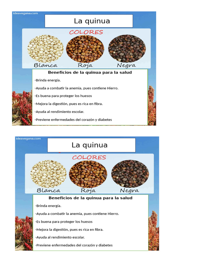 La Quinua | PDF