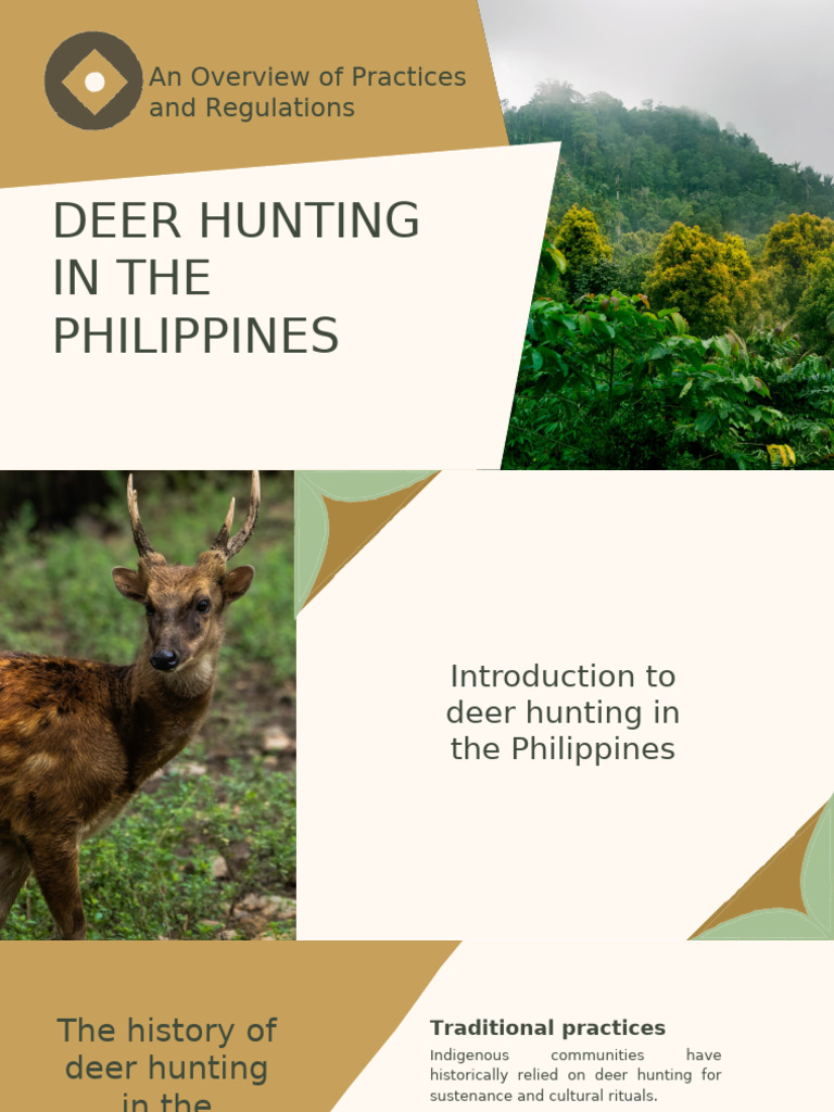 Overview of Deer Hunting | PDF | Hunting | Conservation Biology