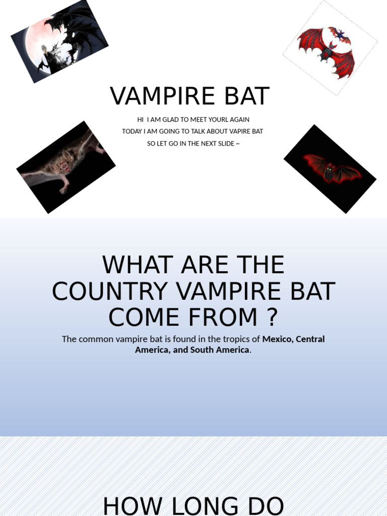 Vampire Bat | PDF