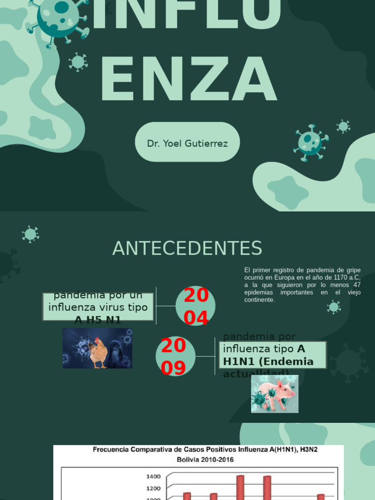 Guía Completa sobre la Influenza | PDF | Influenza | Virus de la ...