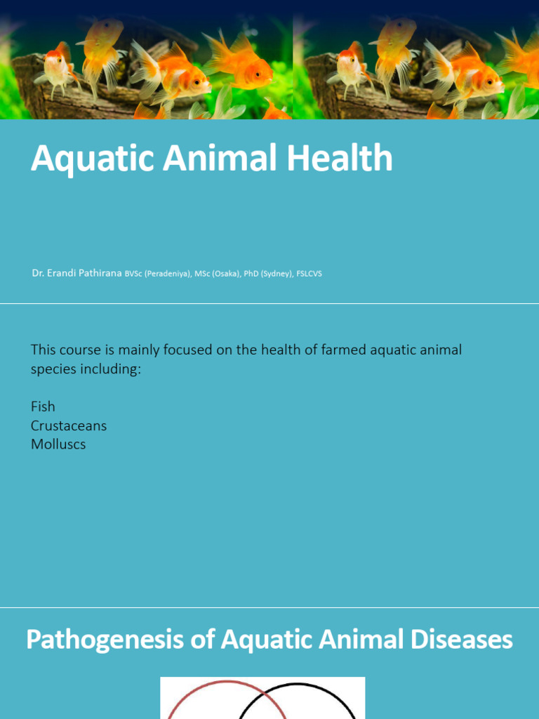 Lec 1 - Intro To Aquatic Animal Health | PDF | Aquaculture | Water