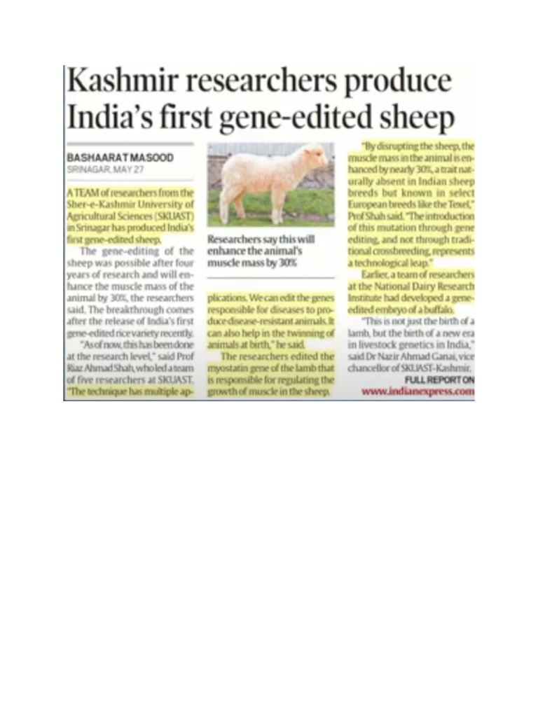 Gene Edited Sheep | PDF