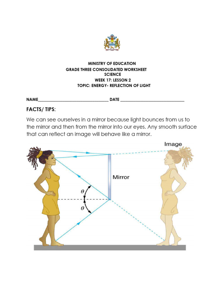 Grade 3 Science Week 17 Lesson 2 - 2022 - Consolidated Worksheet | PDF