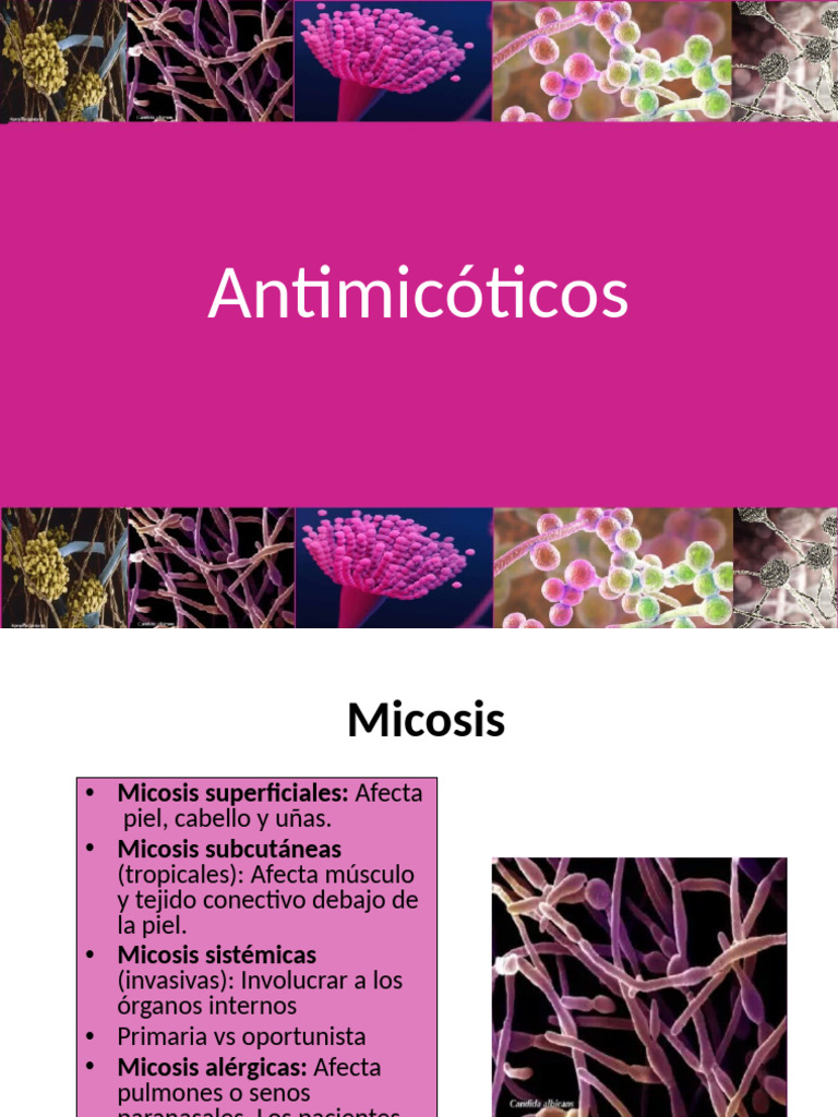 Micosis | PDF
