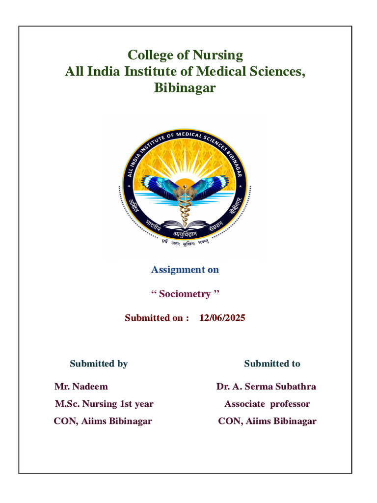 Understanding Sociometry in Nursing | PDF