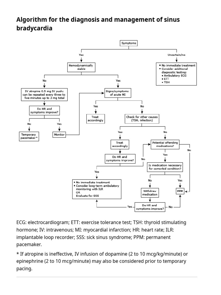 Algorithm For The Diagnosis and Management of Sinus Bradycardia | PDF