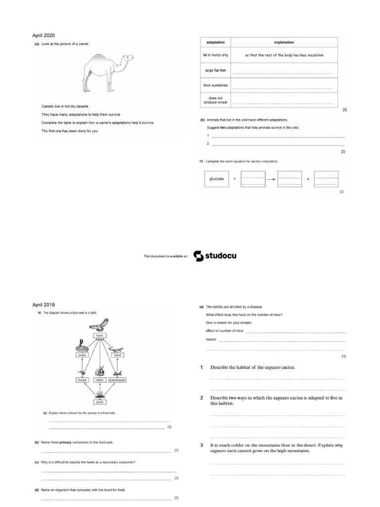 Y8 U4 Revision Worksheet | PDF