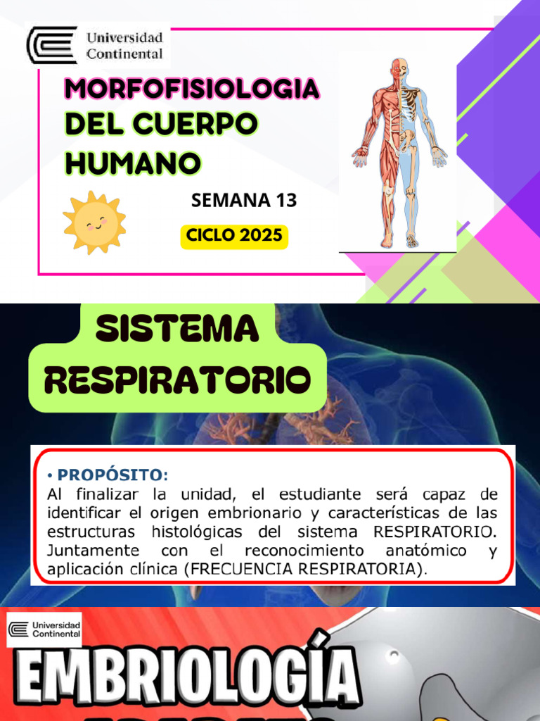 TEORÍA SEMANA 13 MCH 2025 10 - Compressed | PDF