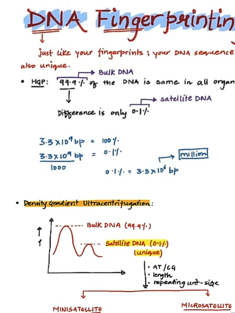 Dna Finger Printing | PDF