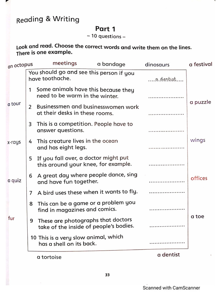 YLE Flyers Cambridge Test 2 | PDF