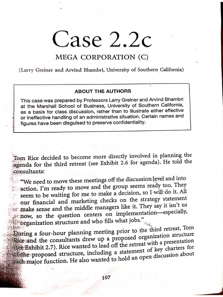 Mega Corporation (C) | PDF
