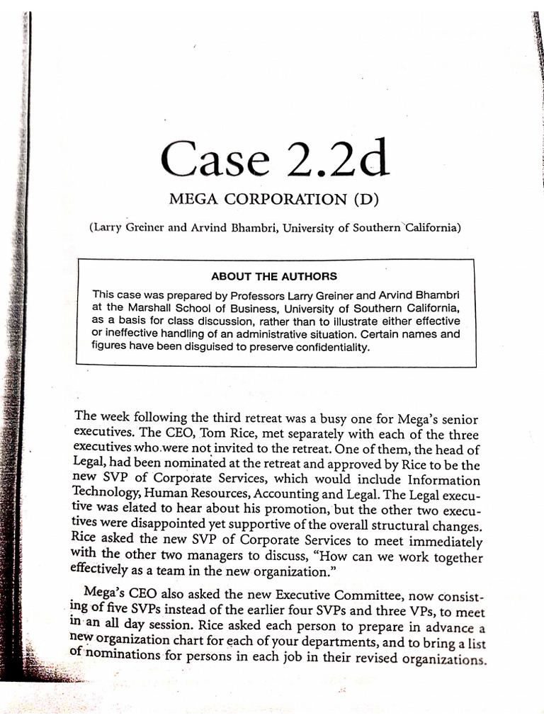 Mega Corporation (D) | PDF